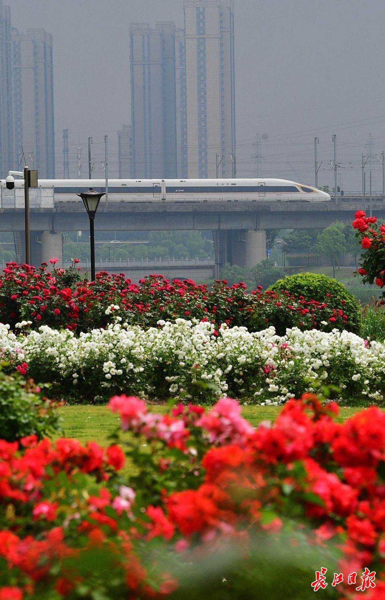 此刻正忙！武汉打造支撑中部地区崛起的重要增长极 - 武汉市人民政府门户网站